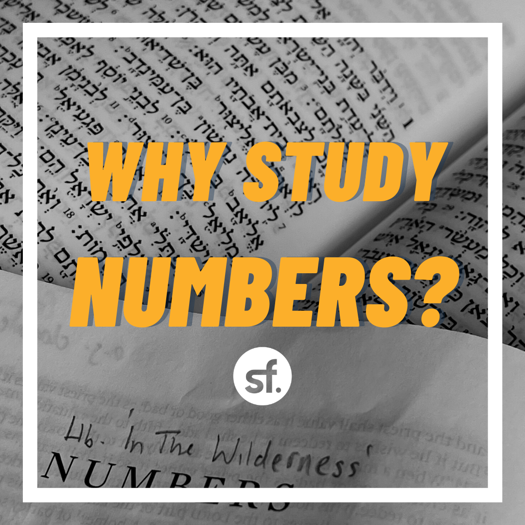Why Study Numbers? – James Travis