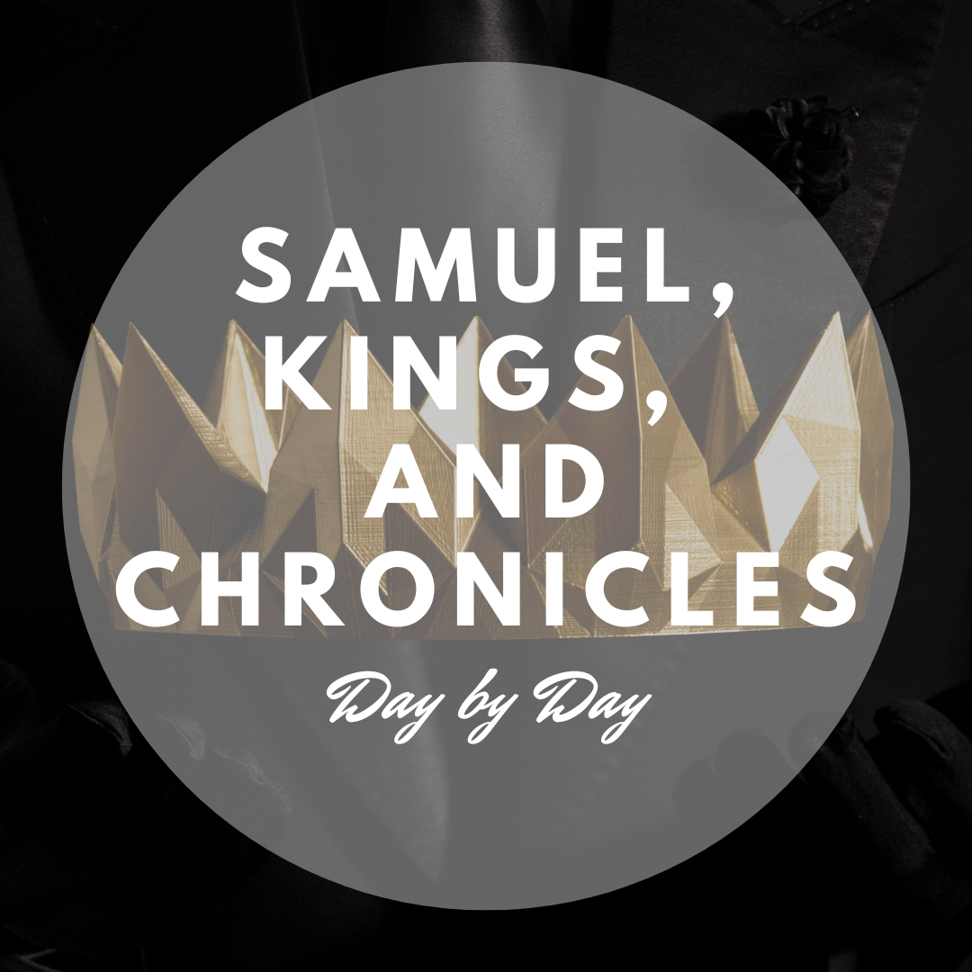 An Introduction to Samuel, Kings, and Chronicles: Day by Day – James Travis